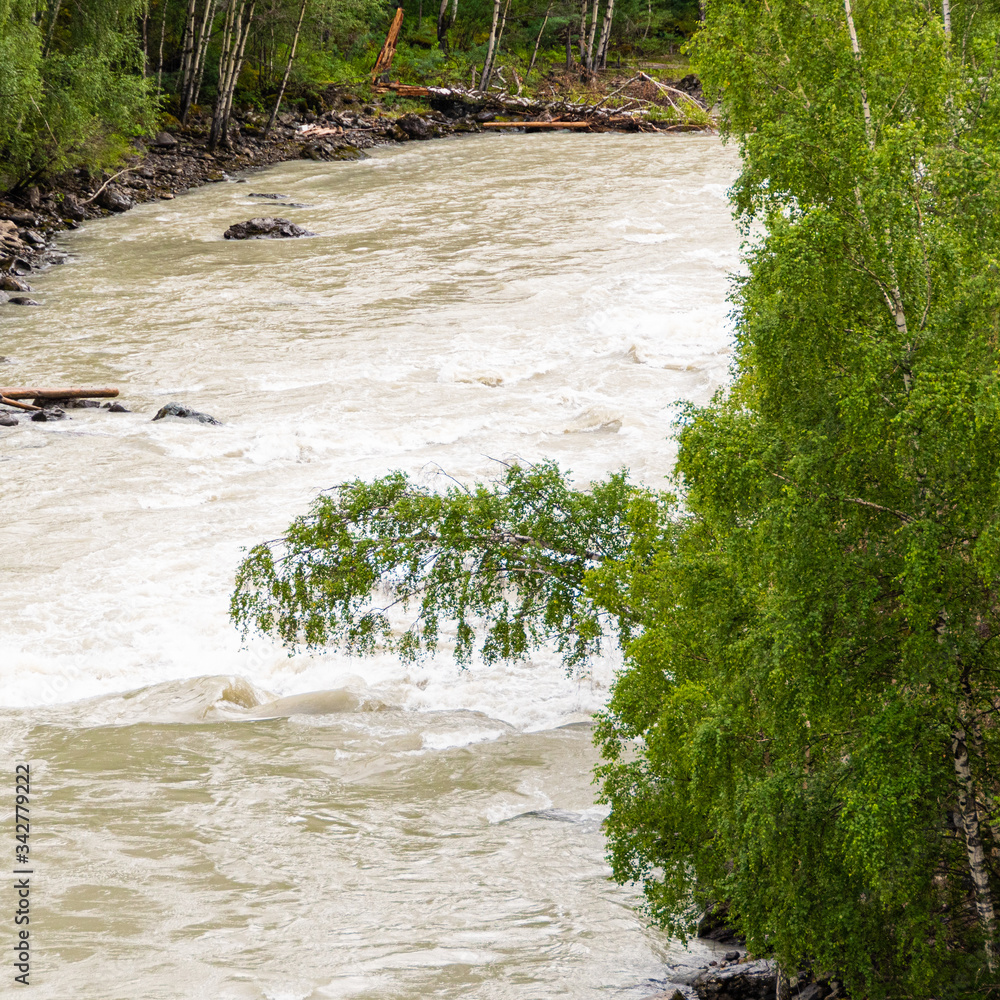 turbulent flow of mountain river, strong turbid flow of water after ...