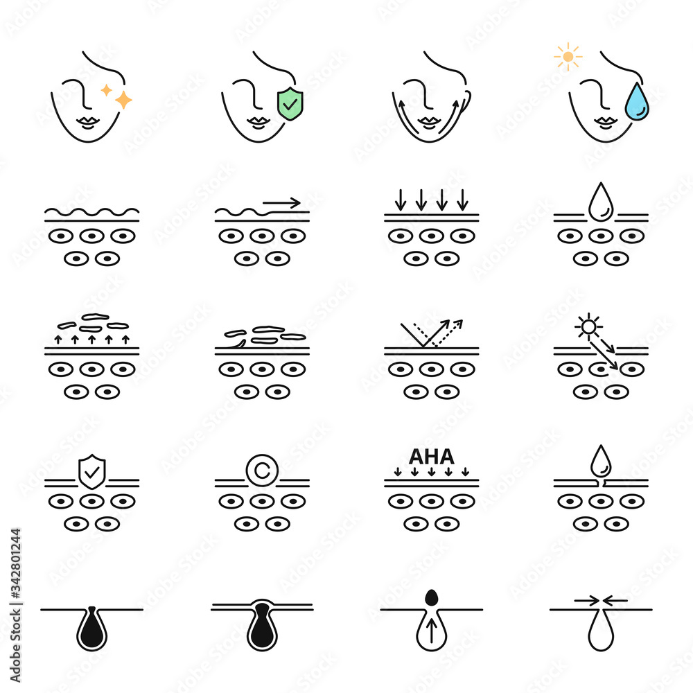Skin care, beauty treatment, skin layers, pores vector icons set Stock ...