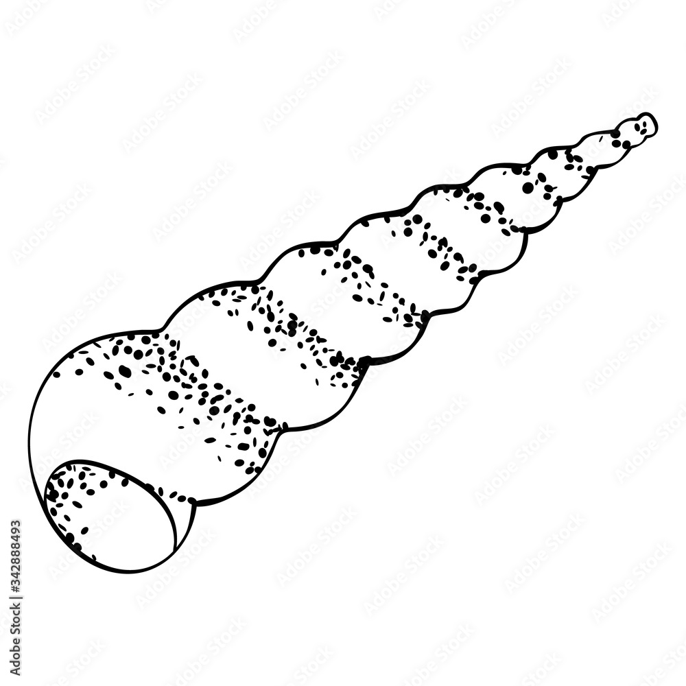 Screw sea shell turritella in a simple style, isolated vector on white ...
