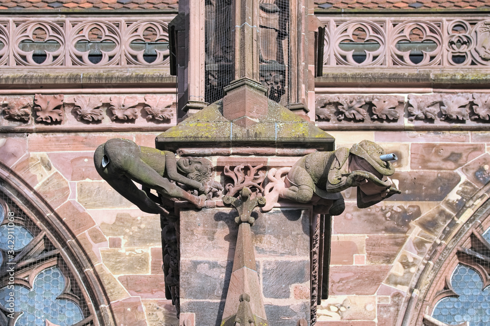Freiburg im Breisgau, Germany. Two gargoyles of Freiburg Minster. The ...