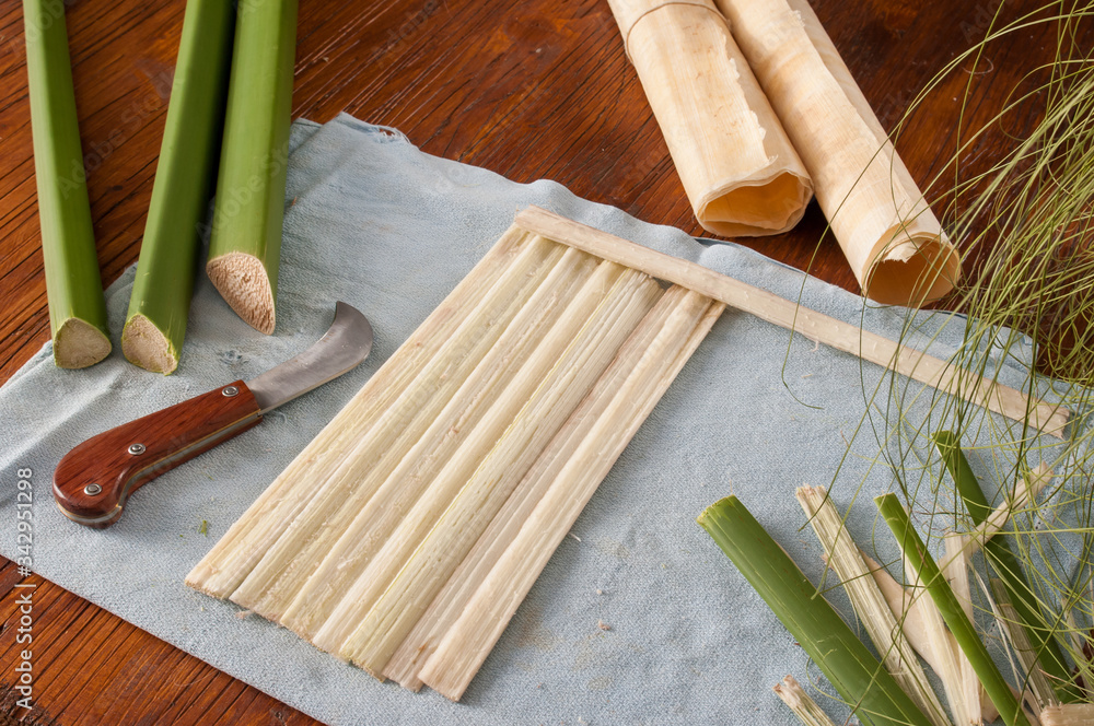 Foto de The making of papyrus paper: strips obtained from the stem of ...