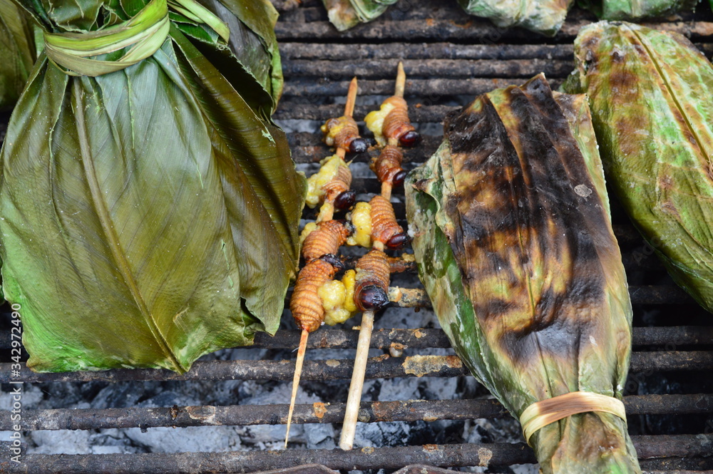 Chontacuros en la Amazonía Ecuatoriana Stock Photo | Adobe Stock