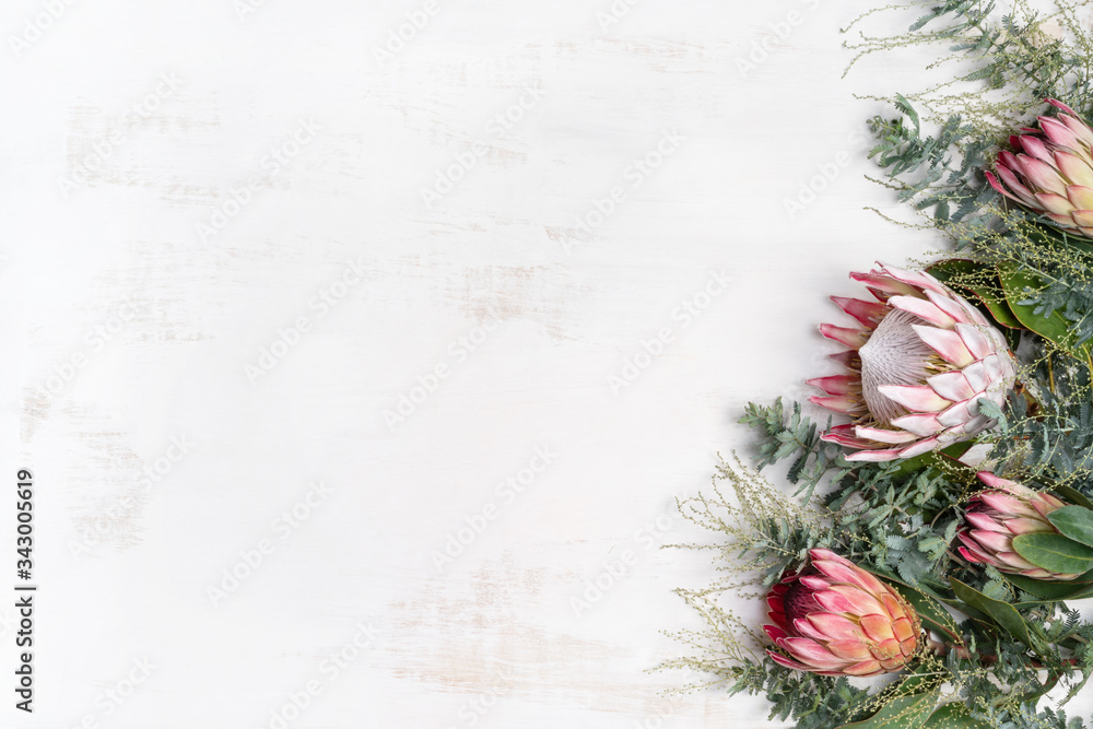 Beautiful decorative pink king protea flower surrounded by pink ice ...