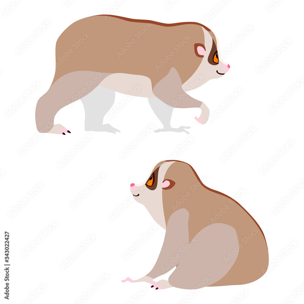 Two slow loris. Illustration of walking and sitting slow loris drawn in ...