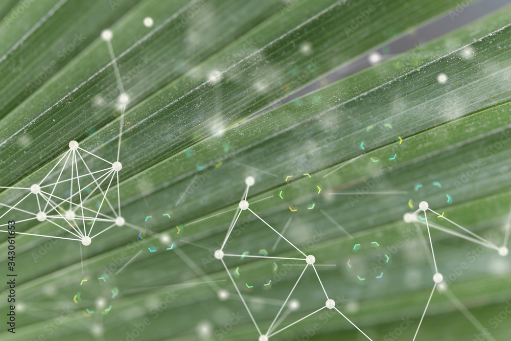 Green technology conceptual design connection. Stock Photo | Adobe Stock
