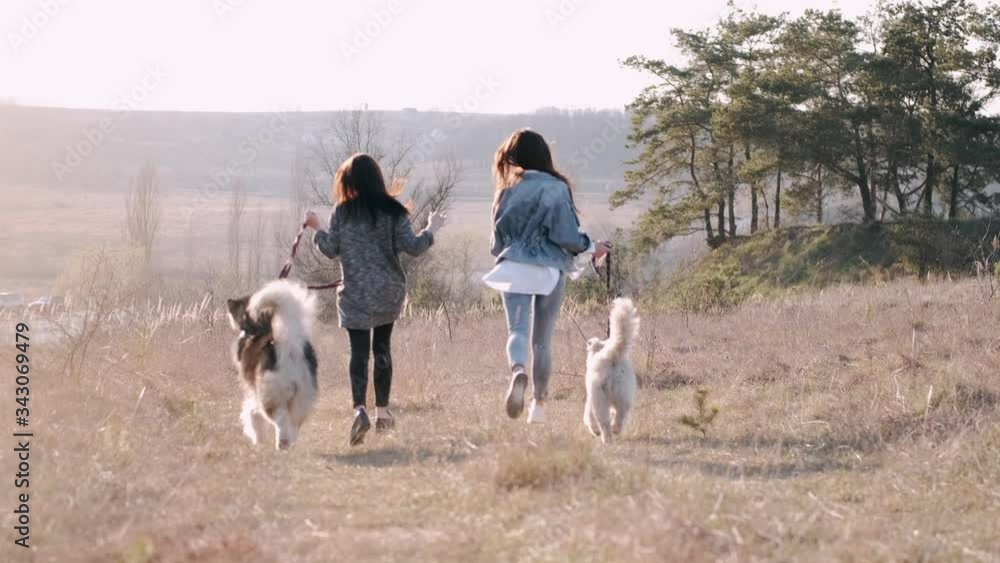 Two young pretty women are walking with their dogs. The pet owners are ...