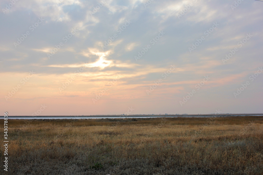 Sunset in the steppe by the sea. Field with dry grasses and a soft pink ...