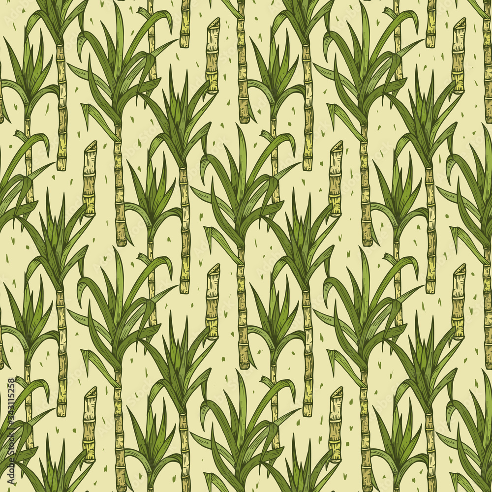 Hand Drawn Sugarcane Plants Vector Seamless Pattern. Sugar cane stalks ...