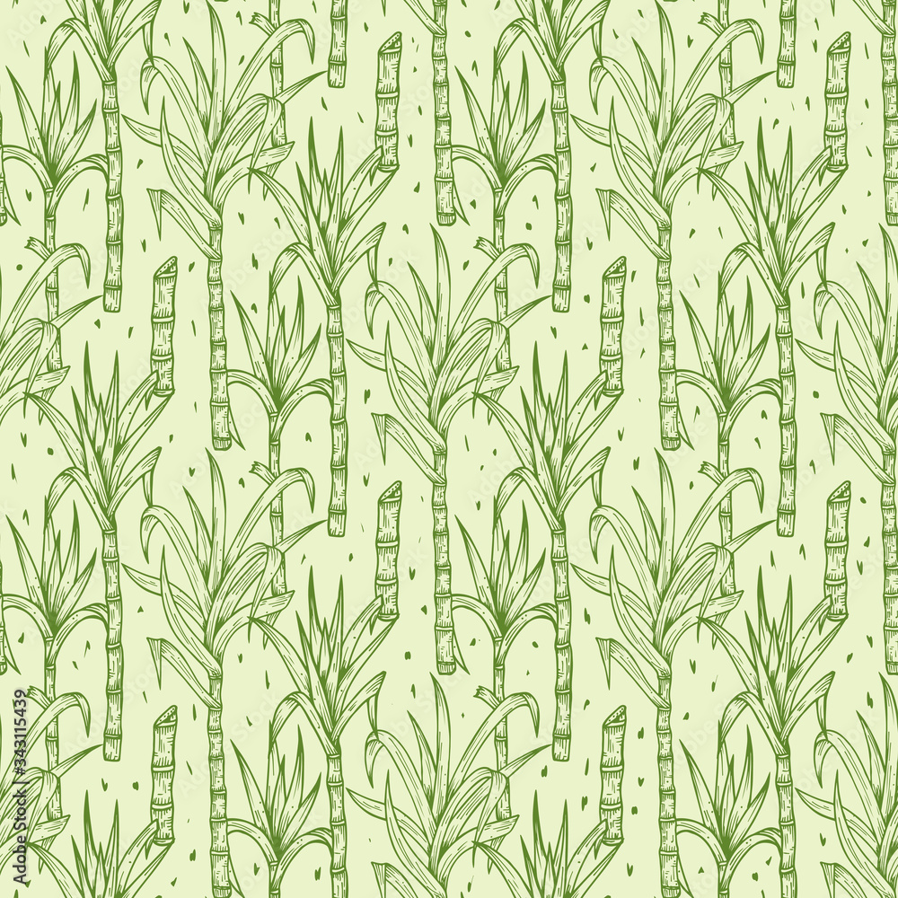 Hand Drawn Sugarcane Plants Vector Seamless Pattern. Sugar cane stalks ...