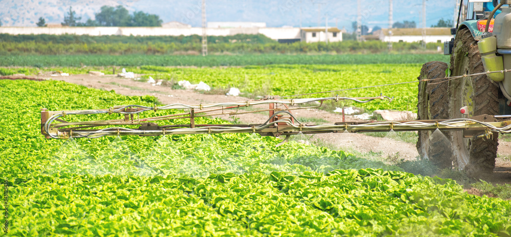 Fumigation of tractor in lettuce field. Spraying insecticide ...