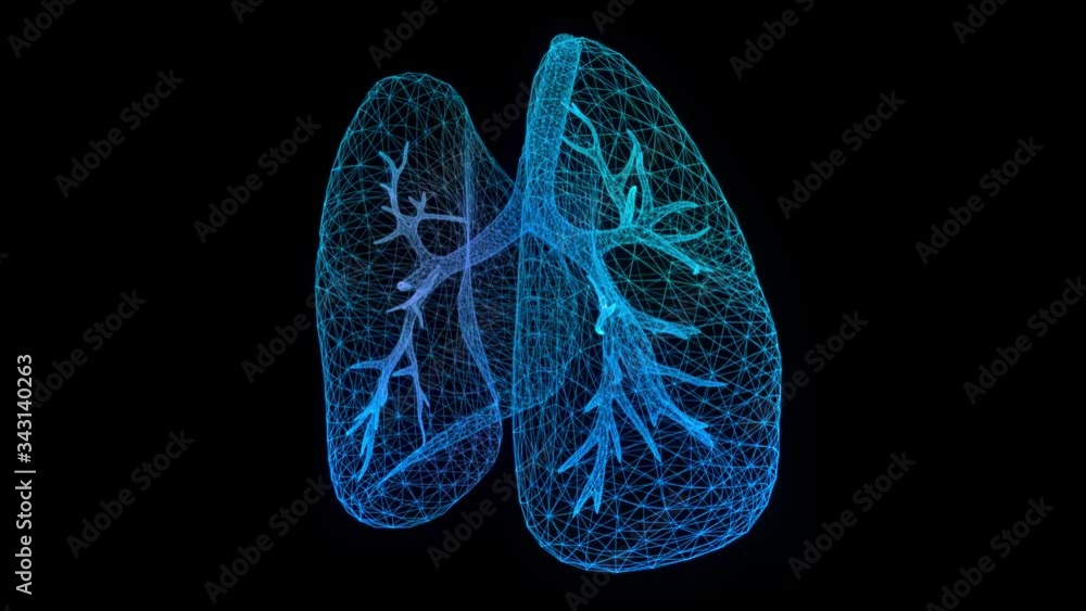 Human lungs. Green light dot and lines formation human lungs model ...