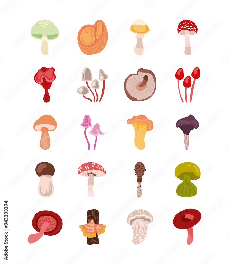 bundle of fungus set icons Stock Vector | Adobe Stock