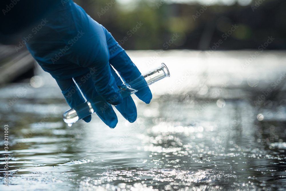 Pond water pollution concept. Scientist takes samples of dirty water ...