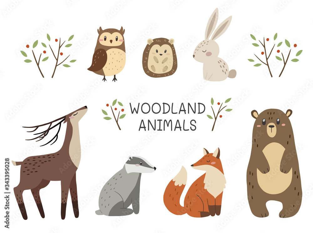 Woodland animals. Set of cute forest animals. Vector illustration ...