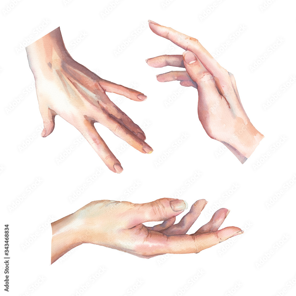 Watercolor hands gesture set. Isolated human palm clip art. Stock ...