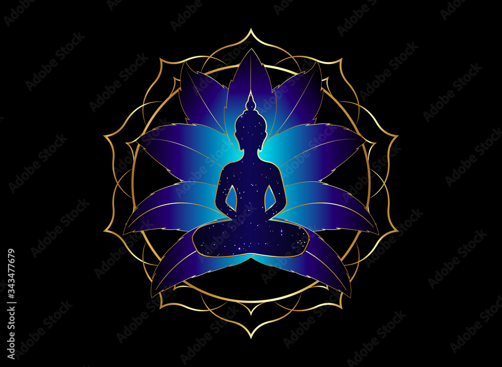 Lotus Flower Inner Peace | Best Flower Site