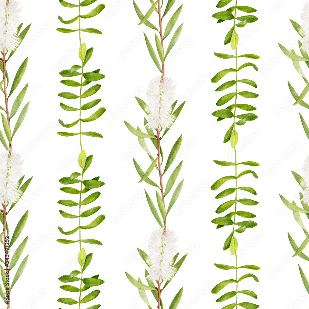 Watercolor tea tree leaves seamless pattern. Hand drawn illustration of ...