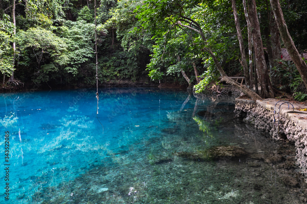 lush rainforest around freshwater blue lagoon blue hole Espirito Santo ...