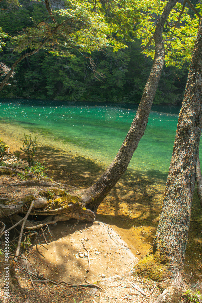 Costa del Río Rivadavia en el Parque Nacional los Alerces, Argentina ...