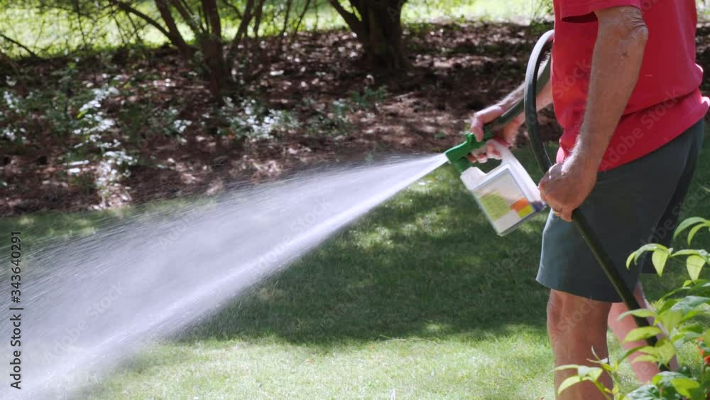 Man fertilizing residential backyard lawn with liquid chemical spreader ...