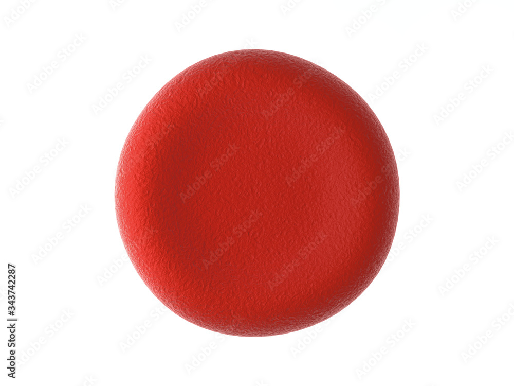Red blood cell isolated on white background, erythrocyte model, 3D ...