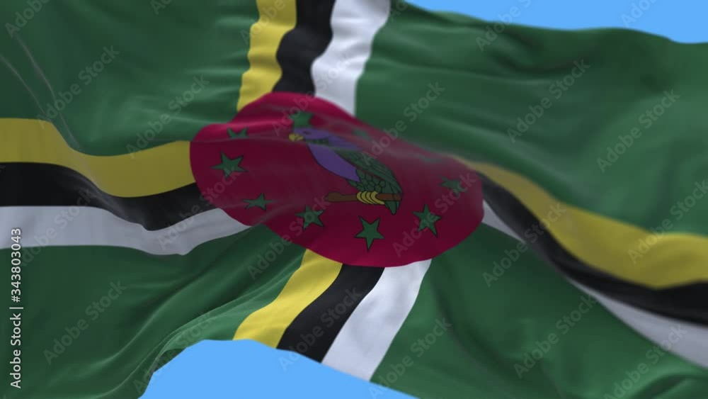 4k Dominic National flag slow loop seamless waving with visible ...