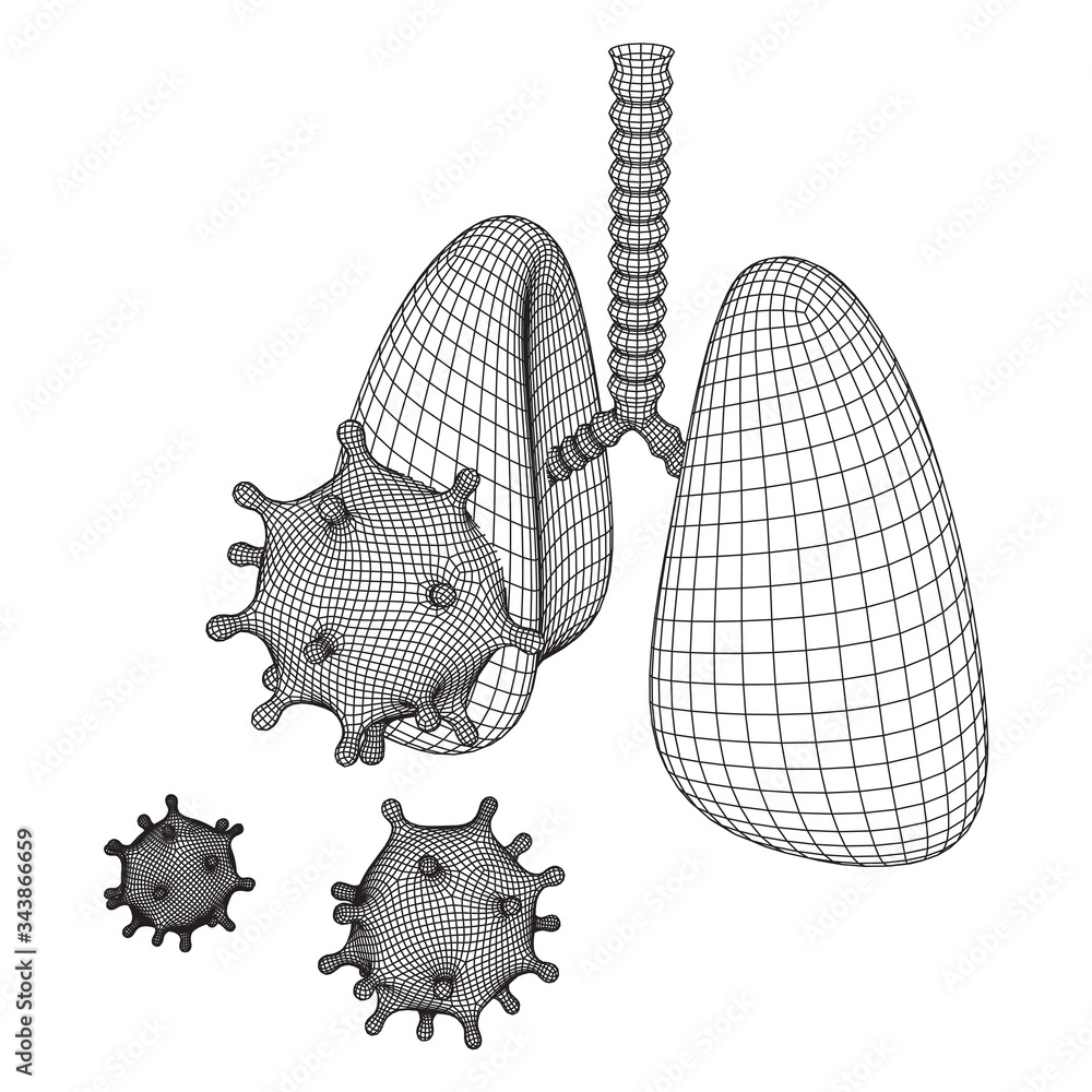 Corona Virus and Lungs with trachea bronchi internal organ human. Covid ...