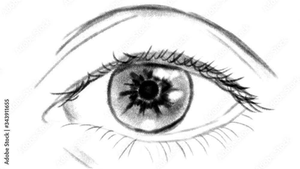 Hand-drawn black-and-white eye blinking animation. Close-up on a white ...