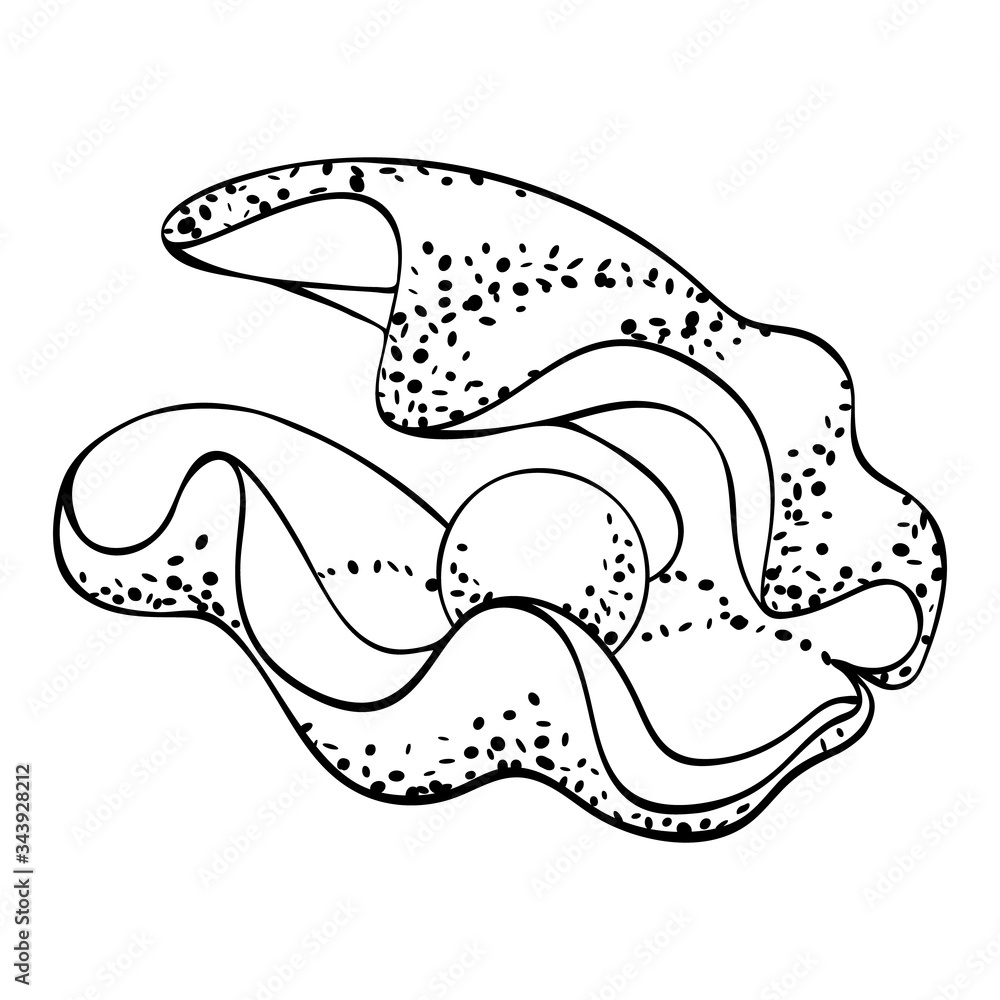 Bivalve sea shell tridacna with pearl inside in a simple style ...