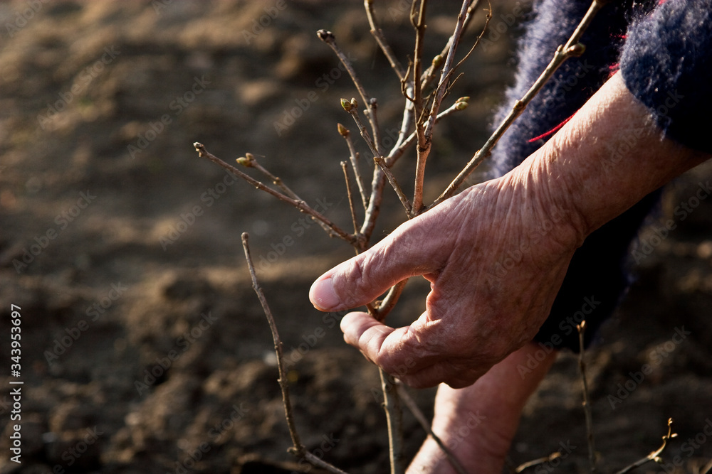 Take care of the forest is the breath of the planet. Against pollution ...