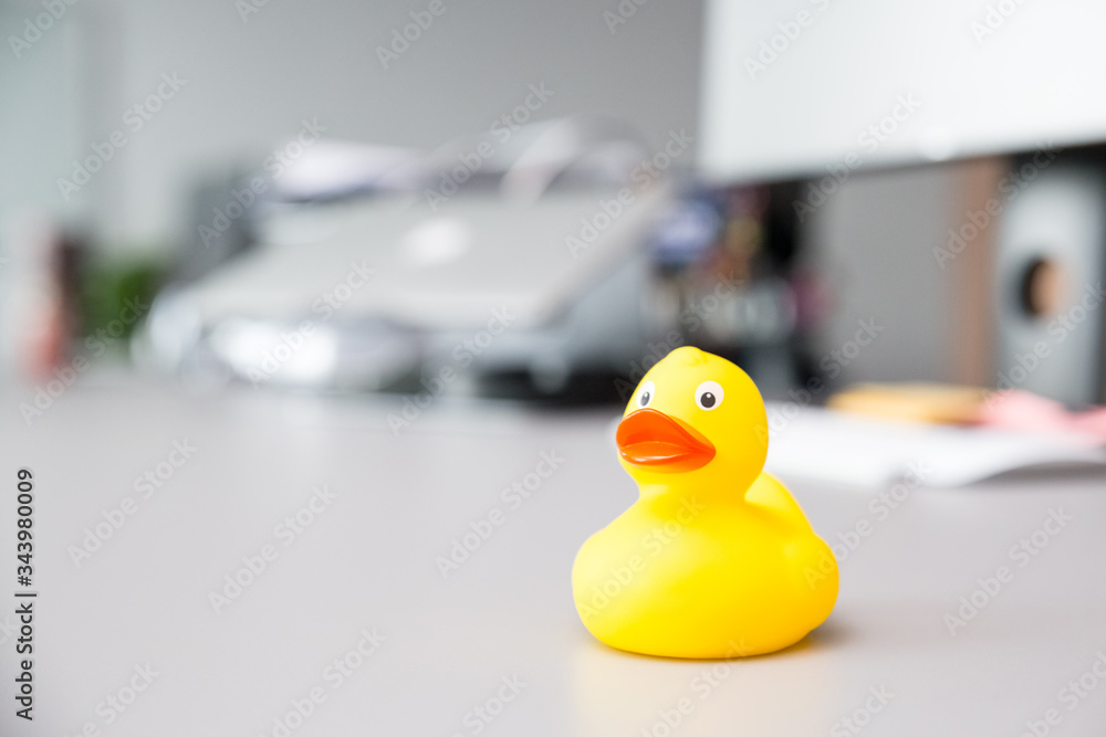 Rubber duck during computer classes Stock Photo | Adobe Stock