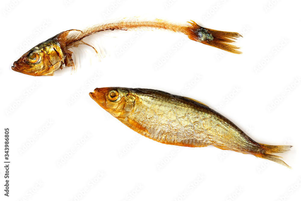 Herring Fish Skeleton