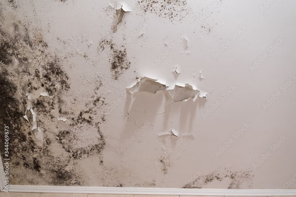 Black mold and mildew spots on the ceiling or wall due to poor air ...