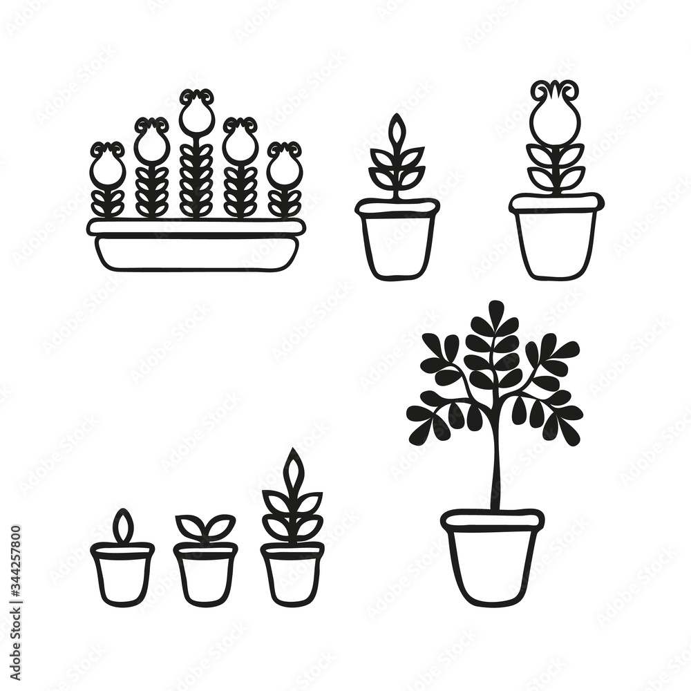 Potted plant phases set. The life cycle of home flowers. Growth stages ...