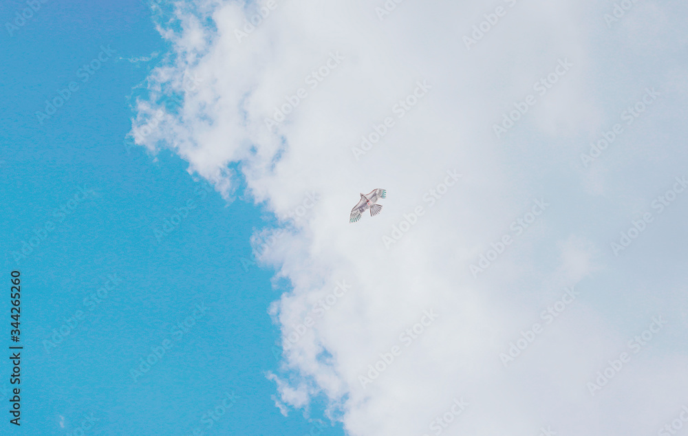 Fotografía de un papalote volando en el cielo azul rodeado de nubes ...