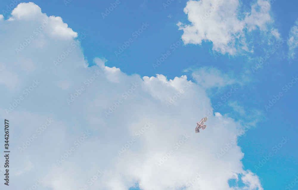 Fotografía de un papalote volando en el cielo azul rodeado de nubes ...