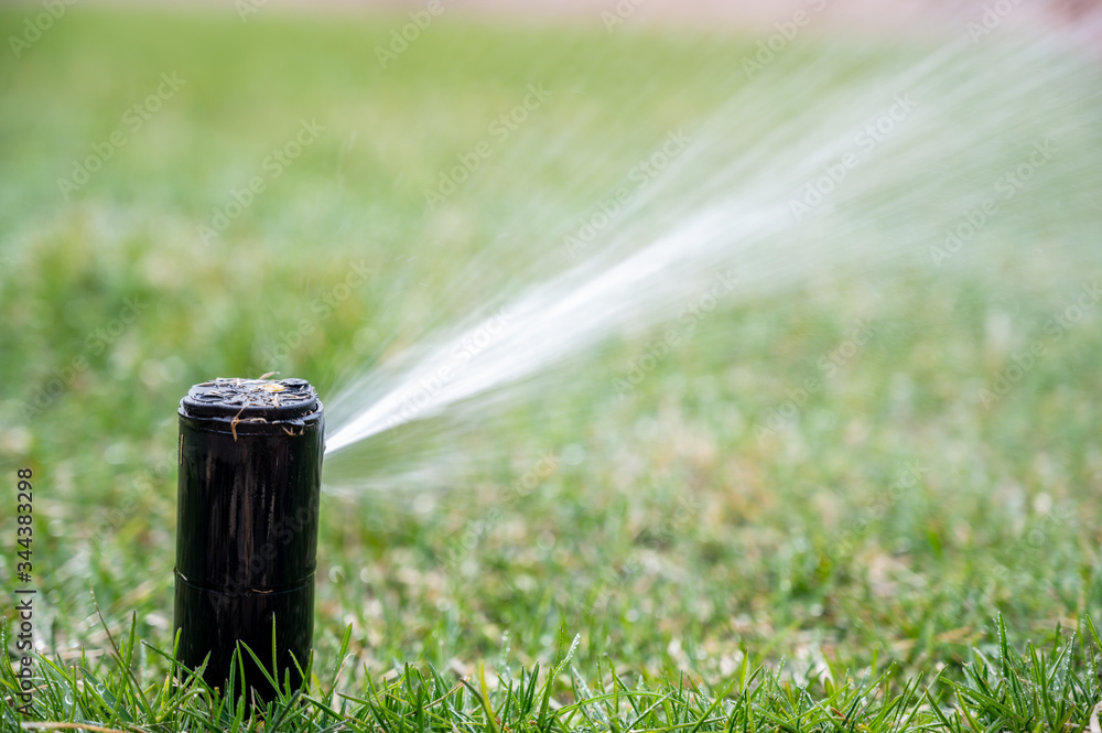 pop up automatic water sprinkler spraying jet across lawn Stock Photo ...