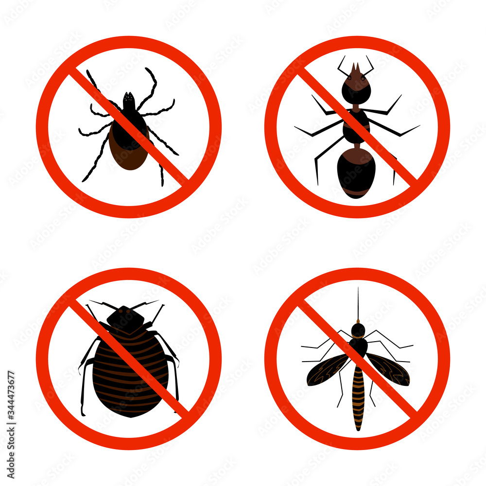 Harmful insects set icon isolated on white background. Collection of ...