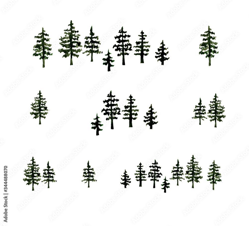 Watercolor hand drawn conifer tree forest illustration. Stock Photo ...