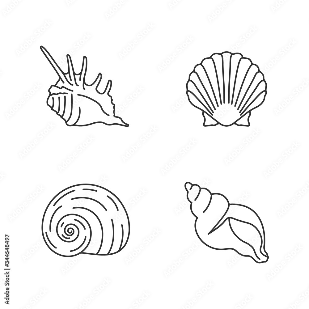 Exotic sea shells pixel perfect linear icons set. Customizable thin ...