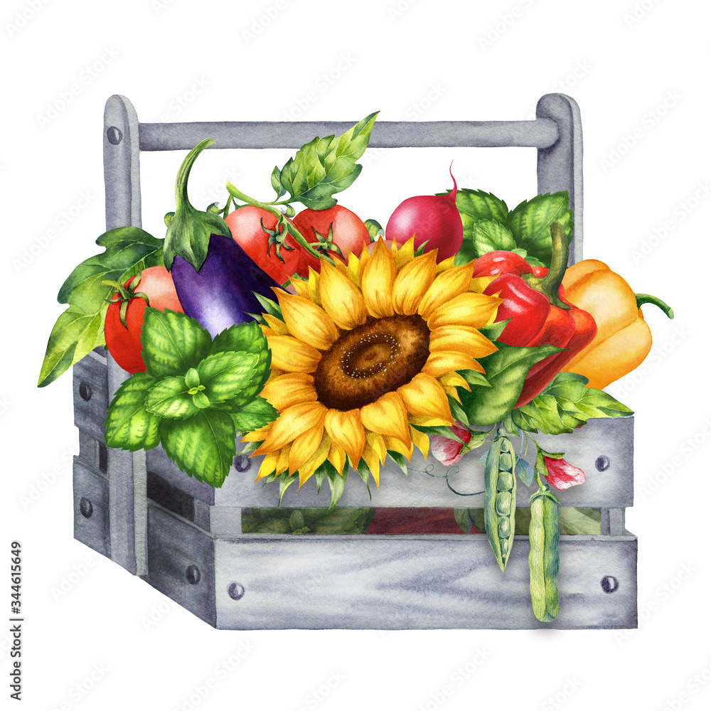 Watercolor illustration vegetables in a wooden crate on an isolated ...