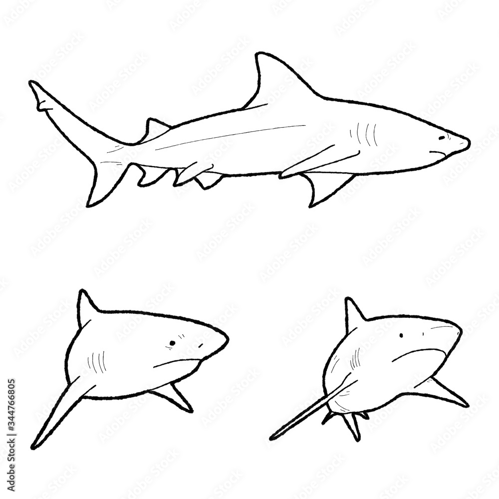 Bull Shark Vector Illustration Hand Drawn Animal Cartoon Art Stock ...