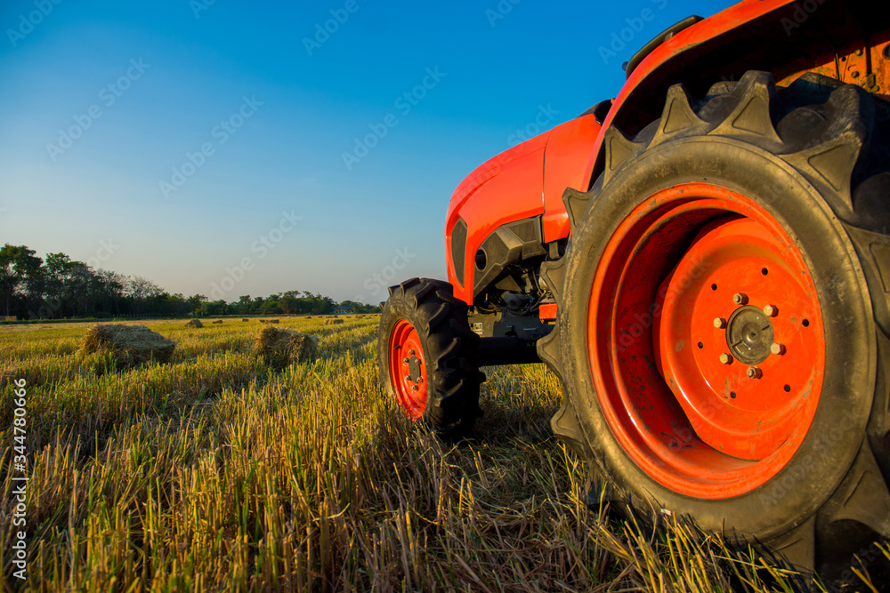 A red tractor is parked in a rice field that has been harvested ...