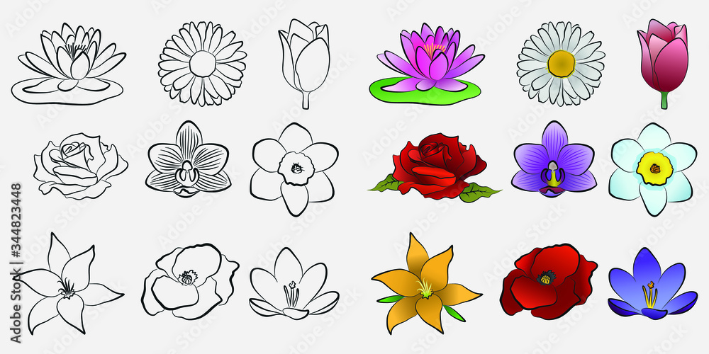 Vector set of different colors in the outline. Handmade decorative ...