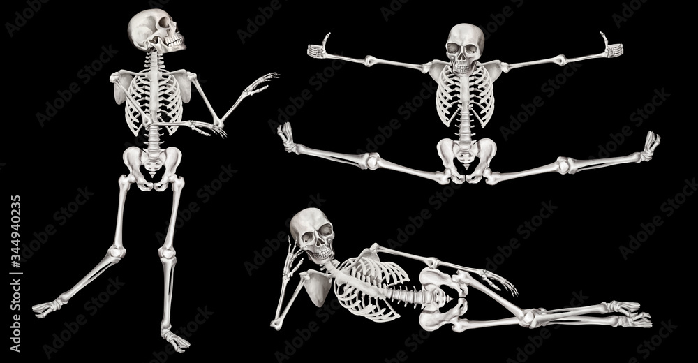 Human skeleton in different poses. Halloween clip art set on black ...