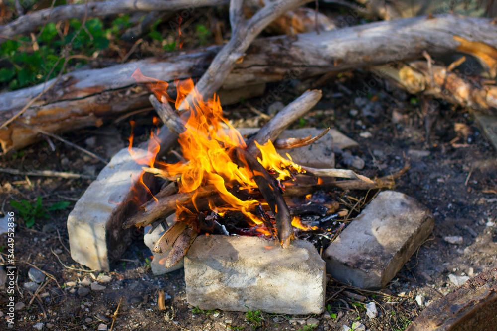 Campfire in the forest. Branchs on fire, campfire place. Bonfire burns ...