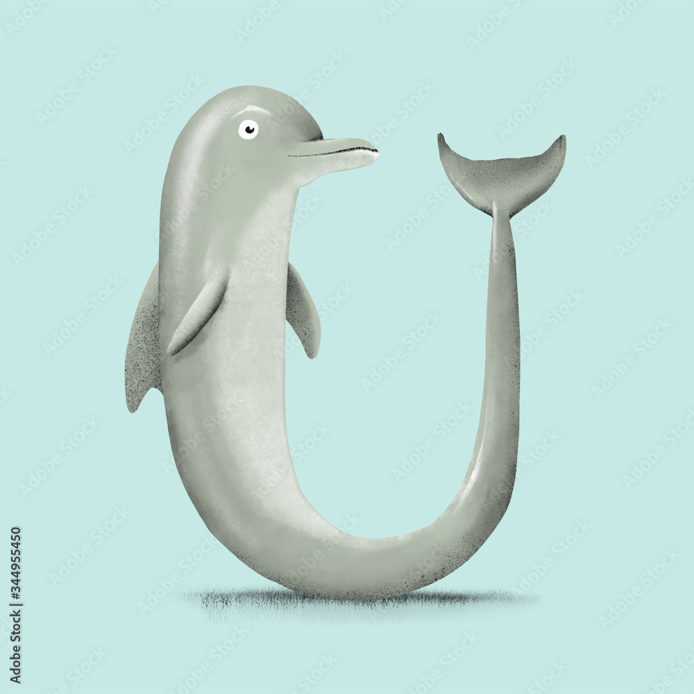 Dolphin - U Stock Photo | Adobe Stock