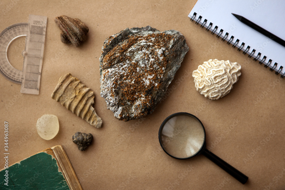 Stone samples at geological laboratory. Geology rock laboratory ...