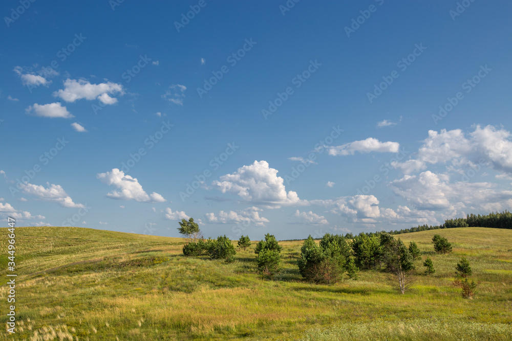 rare trees in a valley between hills with mowed grass Stock Photo ...