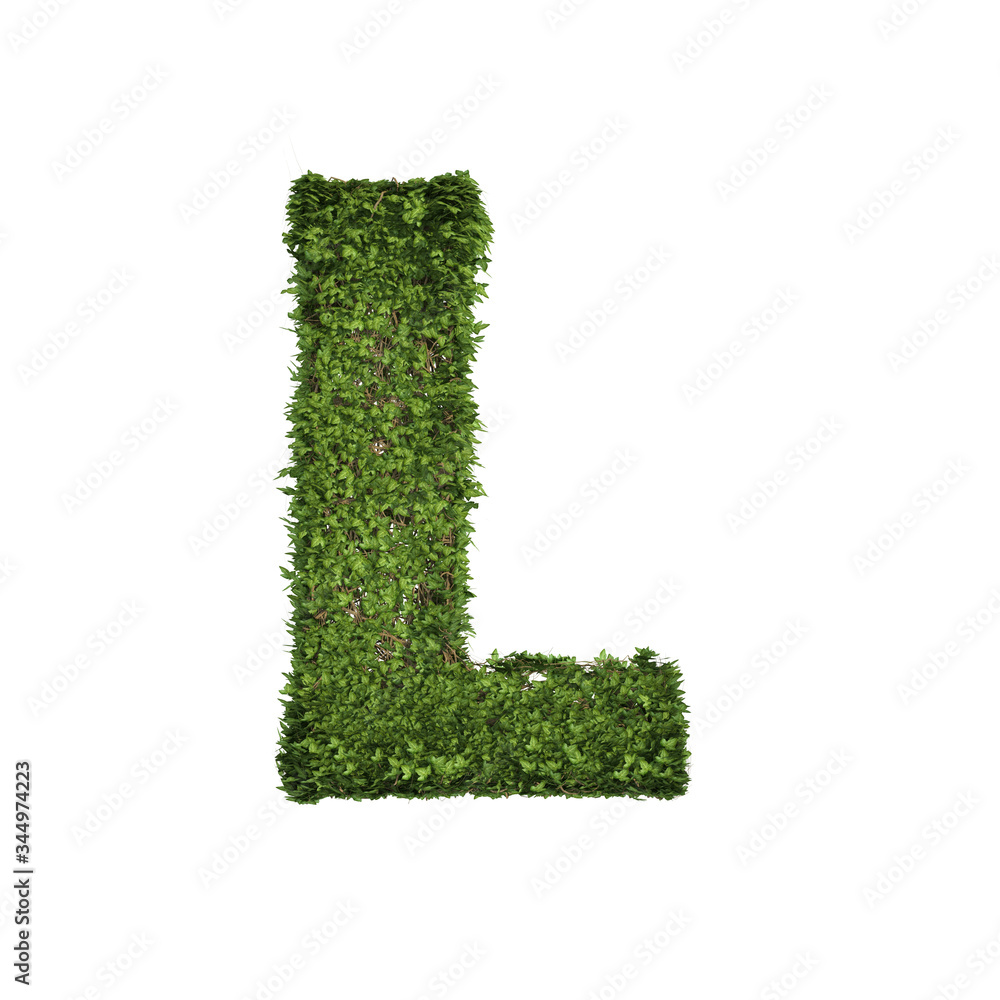 Ivy plant with leaves, green creeper bush and vines forming letter L ...